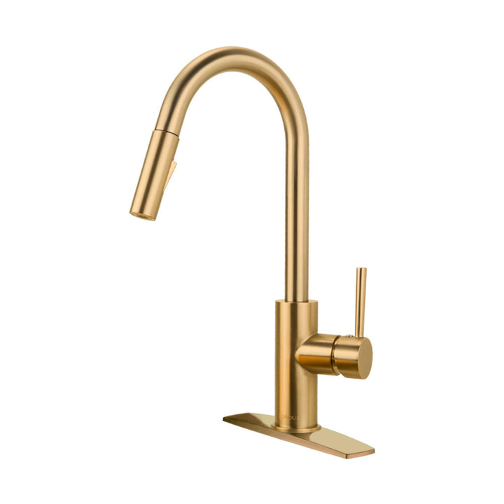 FORIOUS Kitchen Sink Faucet with Pull Down Sprayer Single Handle Stain ...