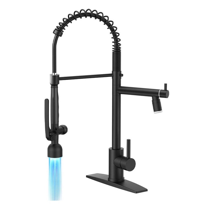 FORIOUS Kitchen Sink Faucet with Pull Down Sprayer Single Handle Stain ...