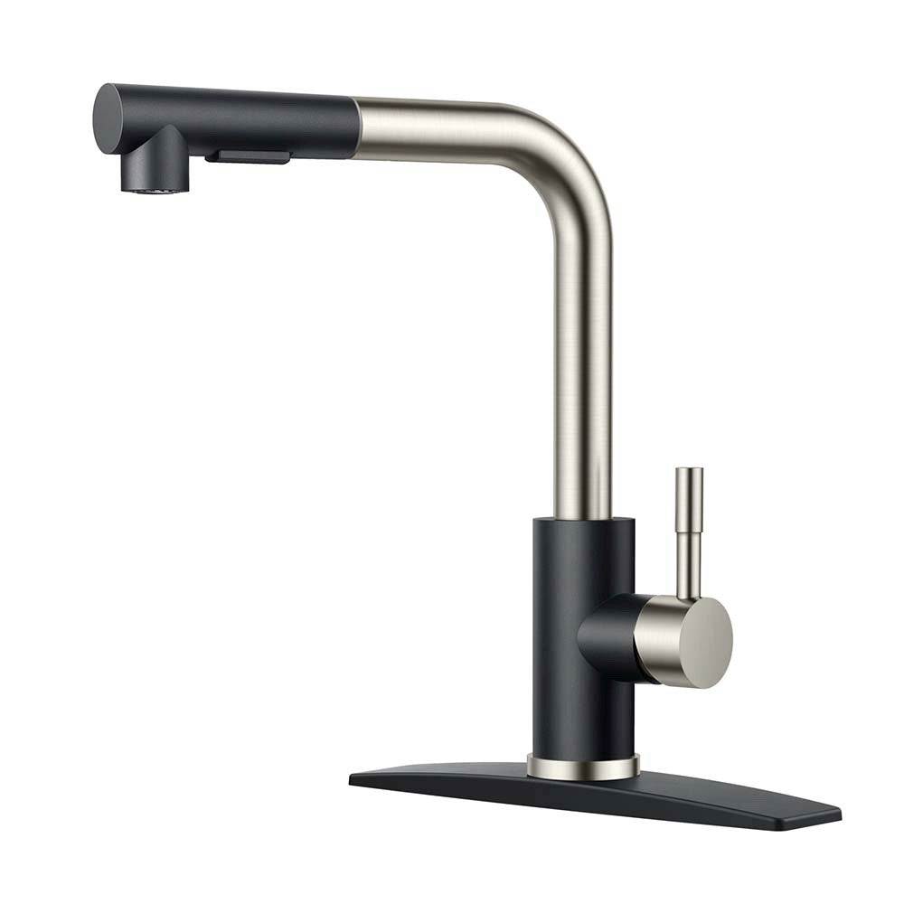FORIOUS Kitchen Sink Faucet with Pull Down Sprayer Single Handle Stain ...