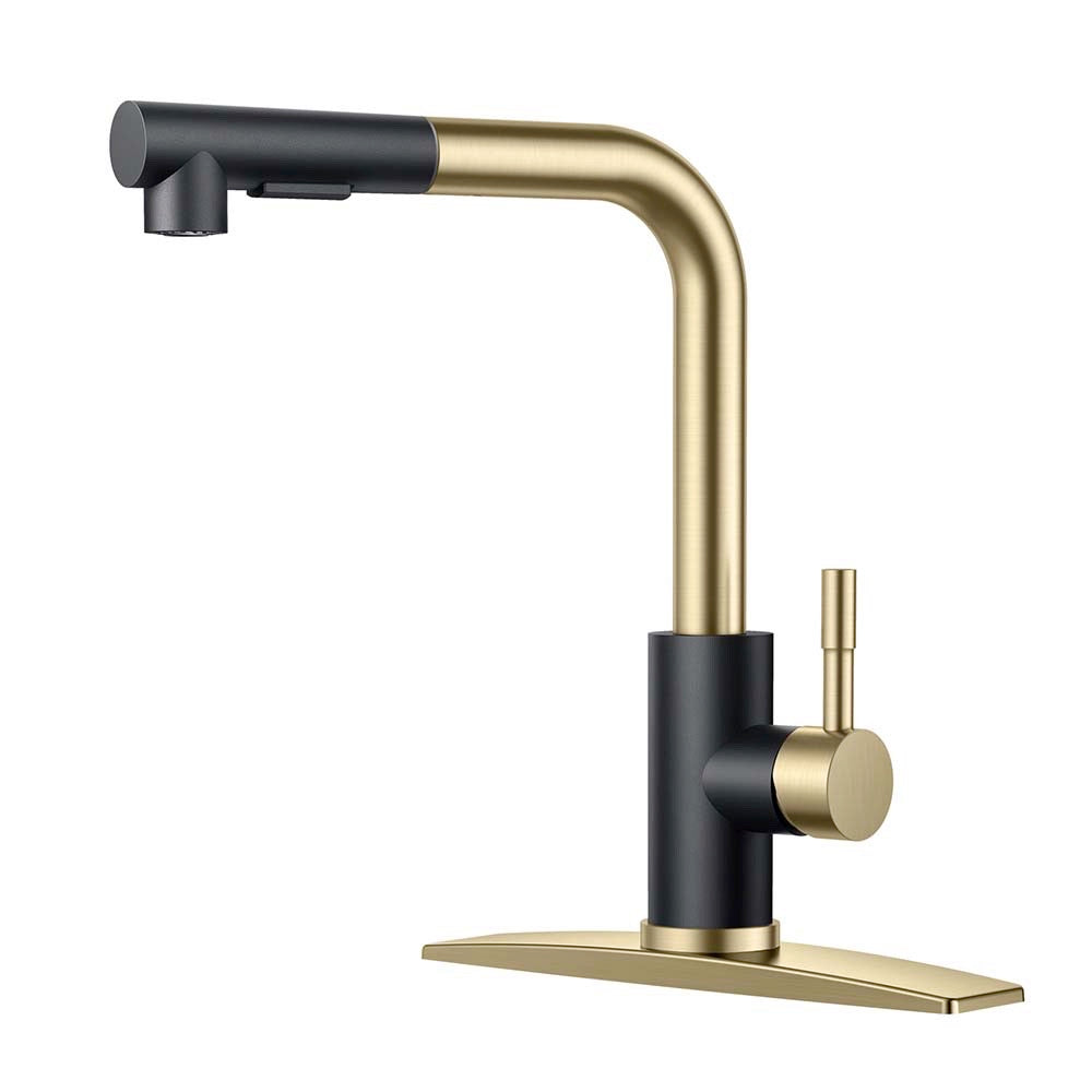 FORIOUS Kitchen Sink Faucet with Pull Down Sprayer Single Handle Stain ...