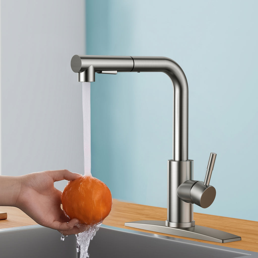 FORIOUS Kitchen Sink Faucet with Pull Down Sprayer Single Handle Stain ...
