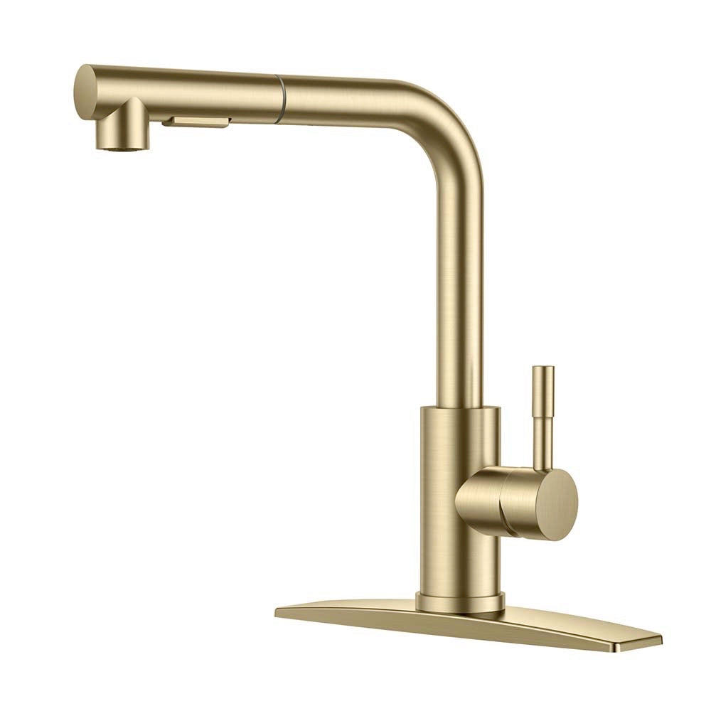 FORIOUS Kitchen Sink Faucet with Pull Down Sprayer Single Handle Stain ...