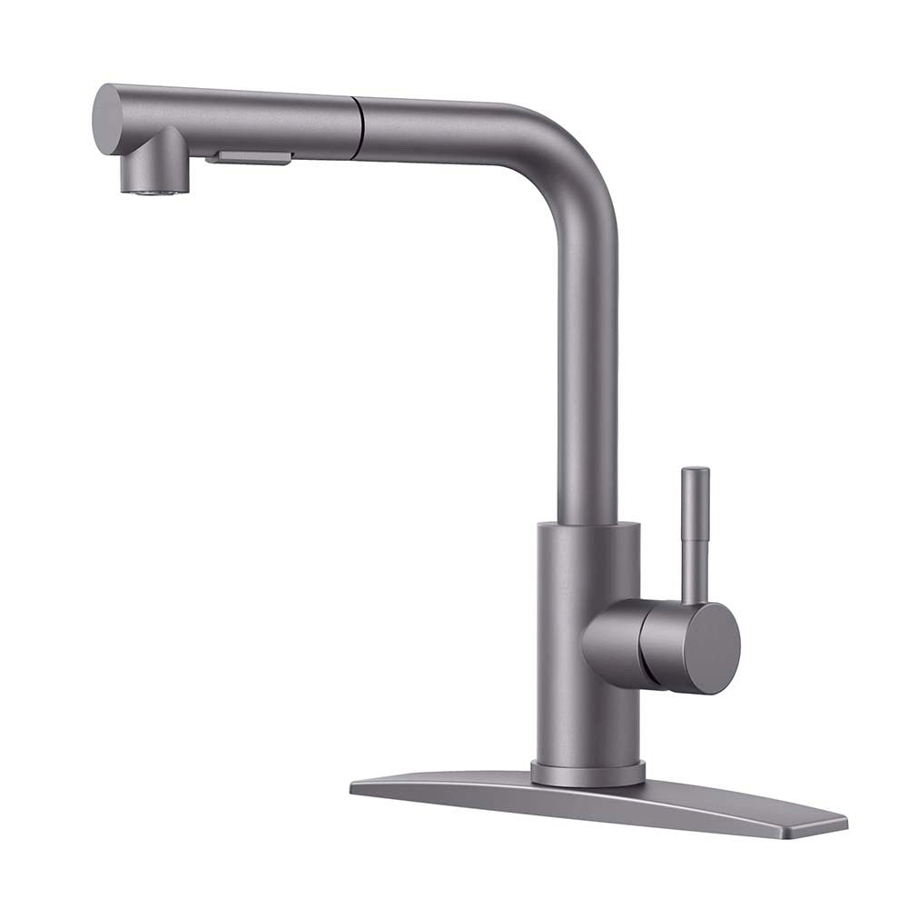 FORIOUS Kitchen Sink Faucet with Pull Down Sprayer Single Handle Stain ...