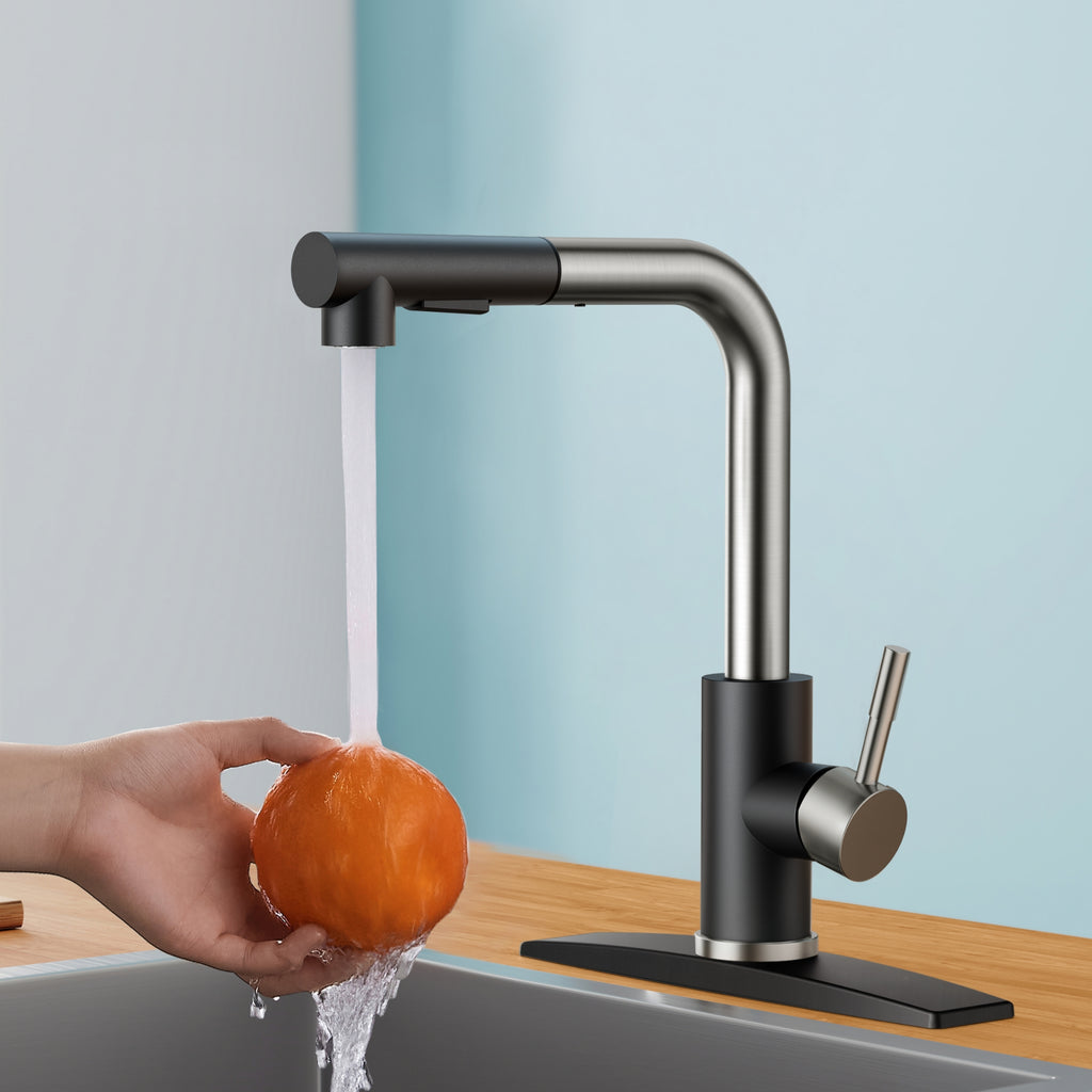 FORIOUS Kitchen Sink Faucet with Pull Down Sprayer Single Handle Stain ...