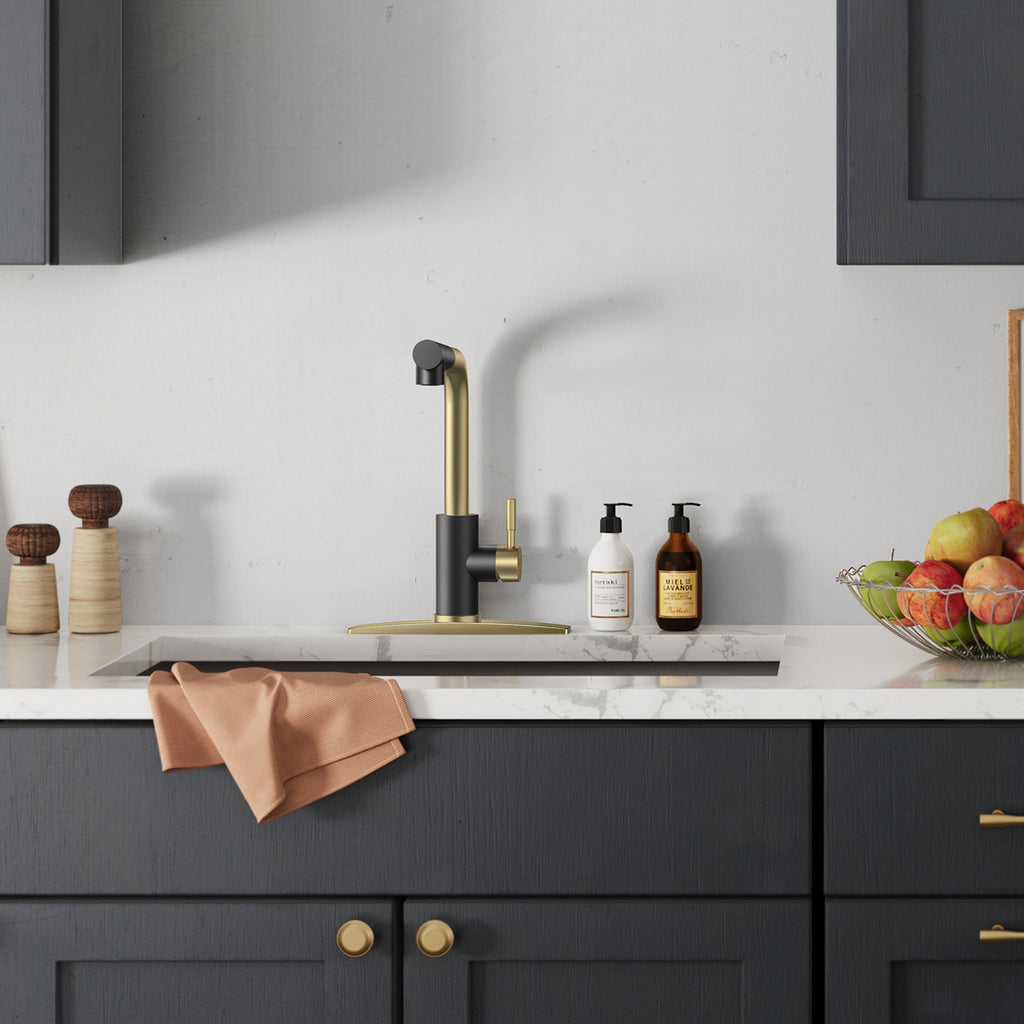 FORIOUS Kitchen Sink Faucet with Pull Down Sprayer Single Handle Stain ...