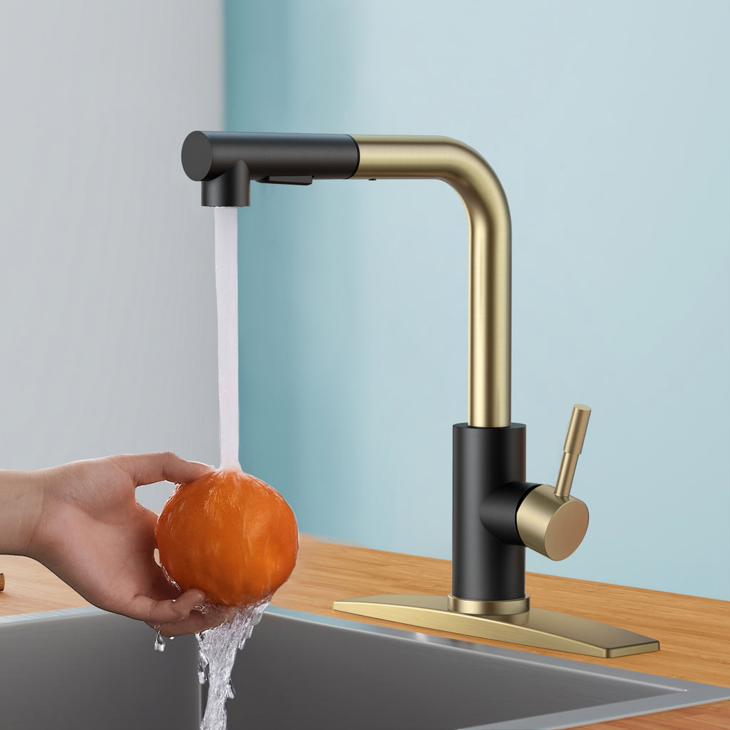 FORIOUS Kitchen Sink Faucet with Pull Down Sprayer Single Handle Stain ...