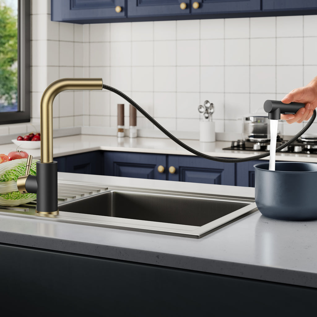 FORIOUS Kitchen Sink Faucet with Pull Down Sprayer Single Handle Stain ...